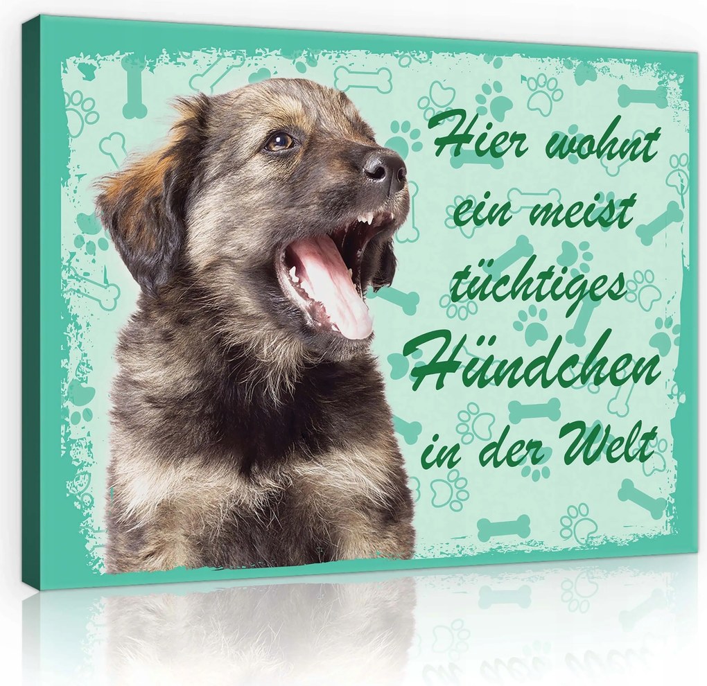 Obraz 80x60 Štěňátko pejsek roztomilý zábavný mazlíček kosti stopy tlapky