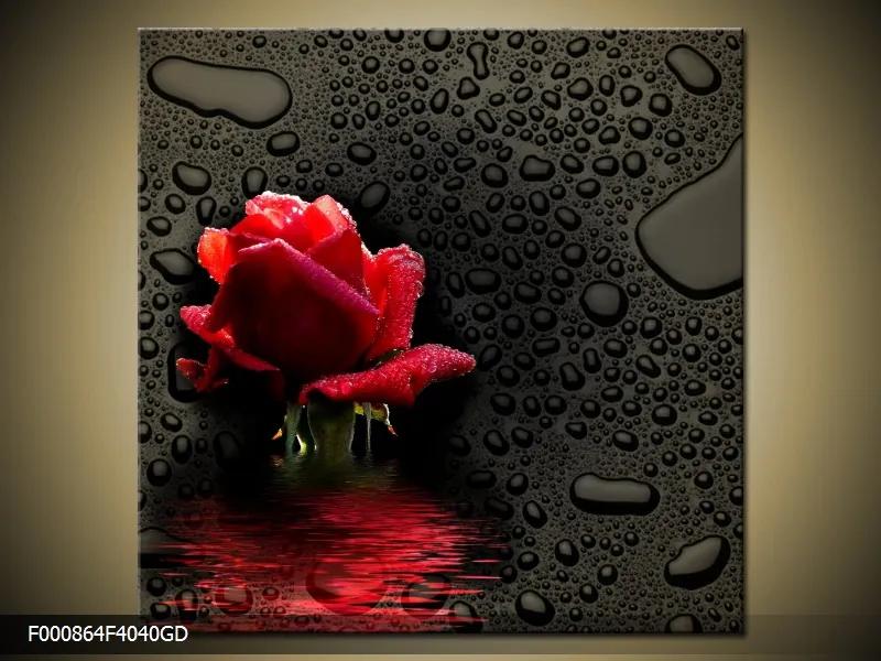 Obraz červené růže (), 40 dalších rozměrů