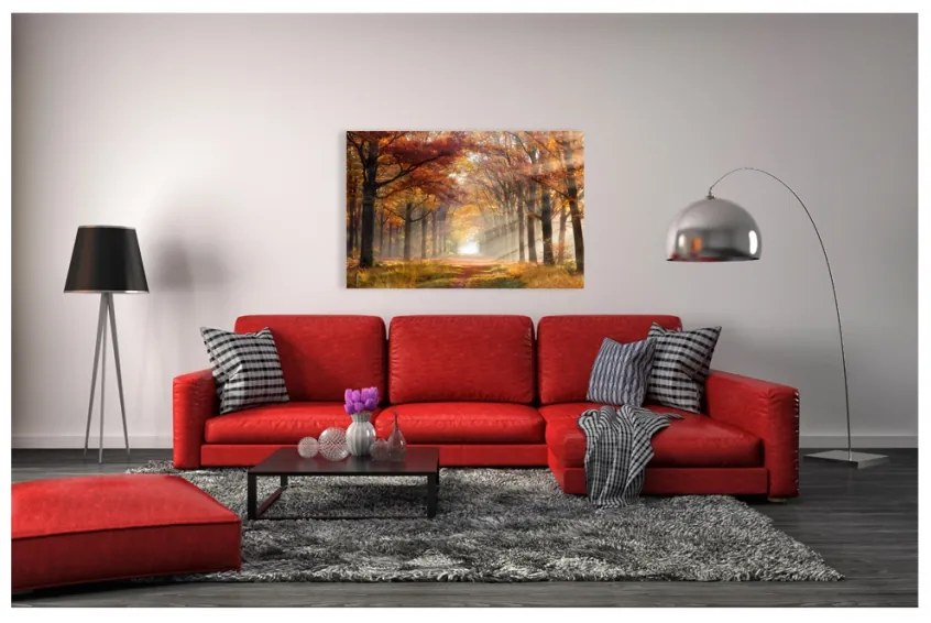 Malvis ® Obraz prosluněná cesta Velikost: 60x40 cm