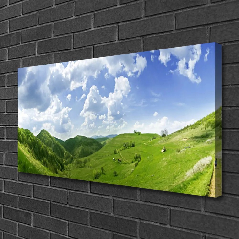 Obraz na plátně Hora Louka Příroda 100x50 cm
