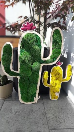 OznTo Živý obraz kaktus 60cm zelený