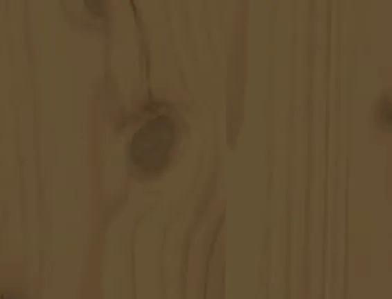 vidaXL Patrová postel 90 x 200 cm masivní borové dřevo [821607] Barva: Hnědá
