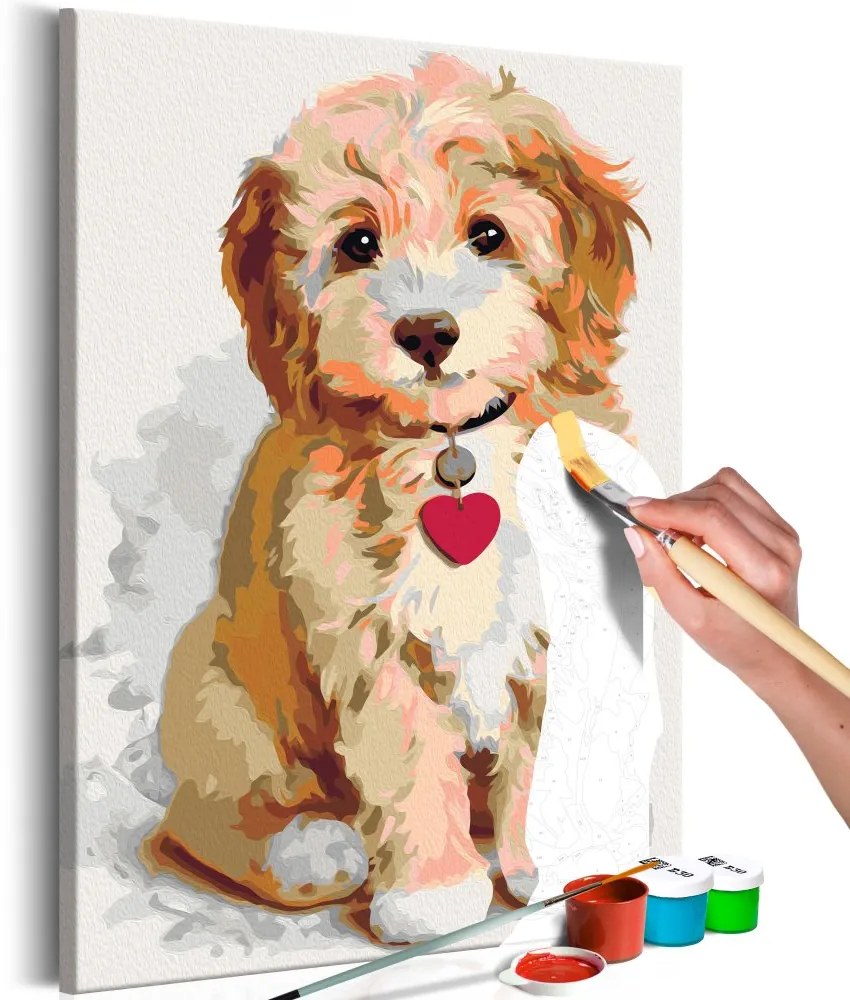 Bimago Malování podle čísel - Dog (Puppy) | 40x60 cm
