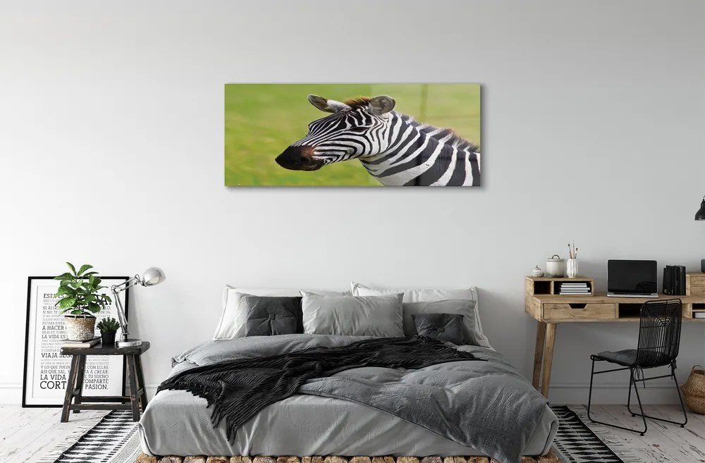 akrylový obraz zebra 120x60 cm