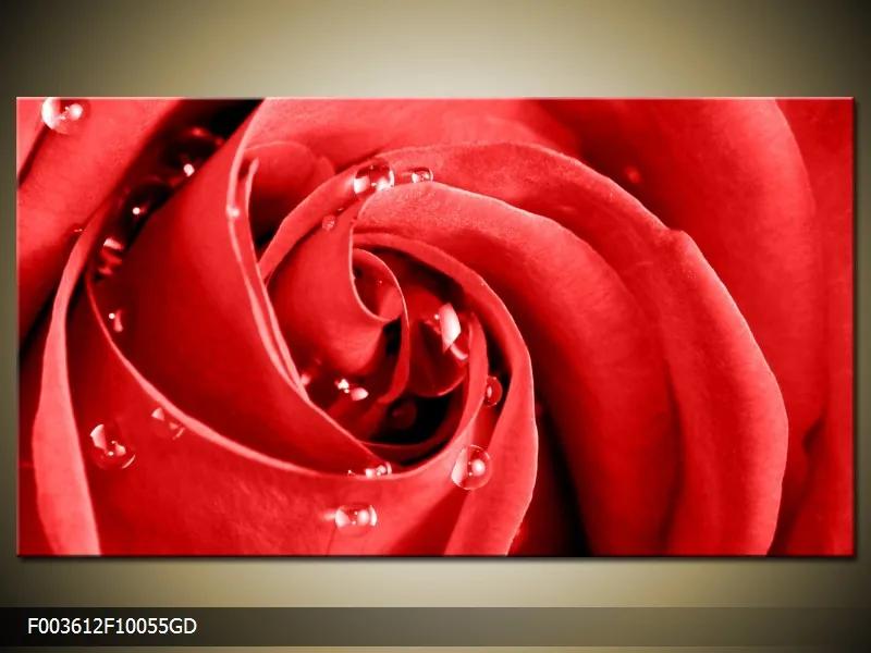 Obraz orosené červené růže  (), 40 dalších rozměrů