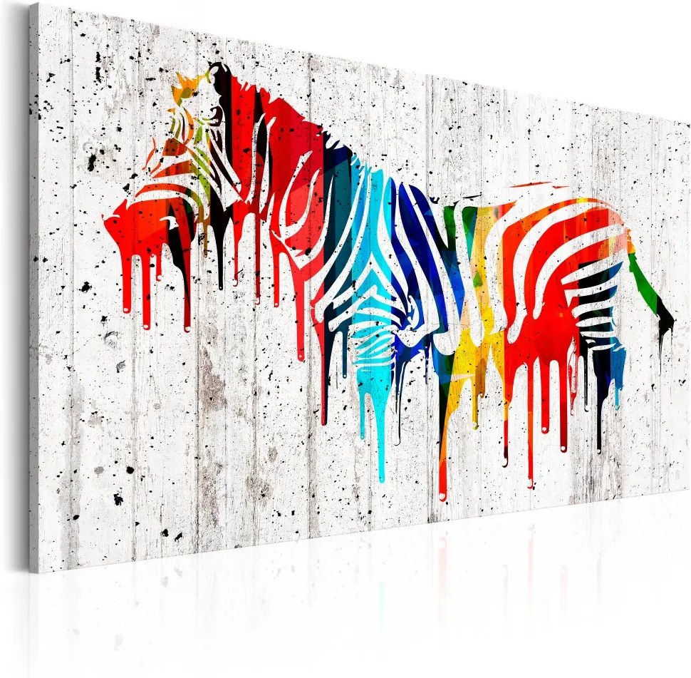 Obraz na plátně Bimago - Barevná zebra 120x80 cm