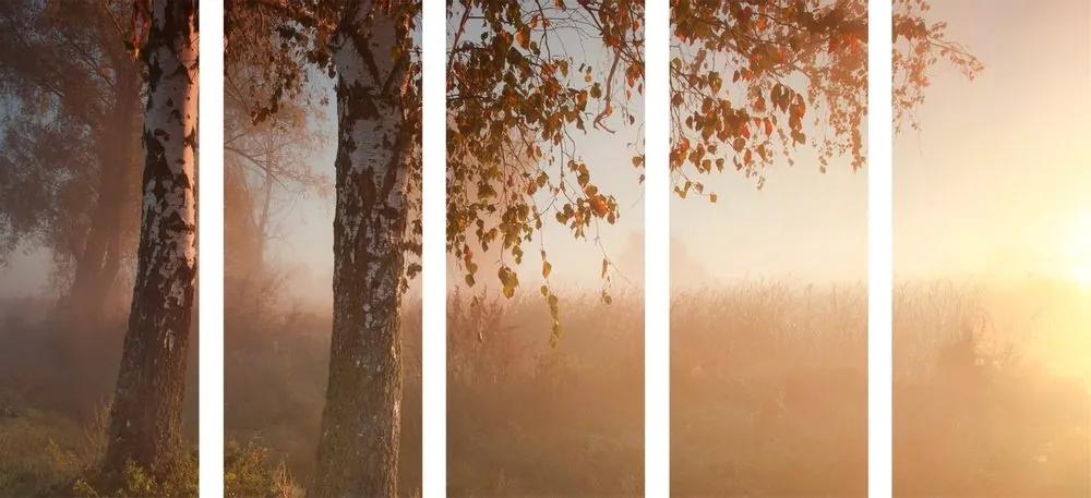 5-dílný obraz mlhavý podzimní les - 200x100 cm