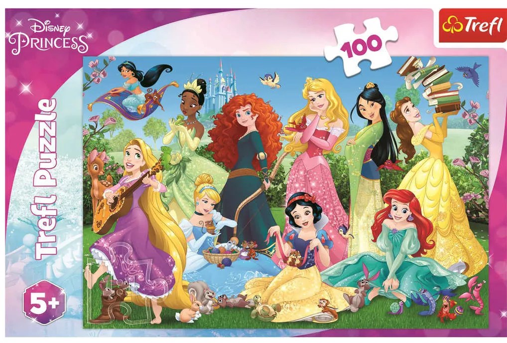 TREFL PUZZLE Disney Okouzlující Princezny 41x28cm 100 dílků skládačka tr16417