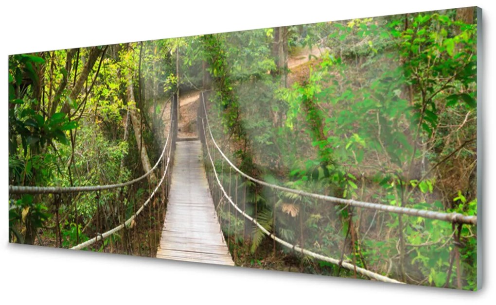 Skleněný obraz Most Džungle Tropický Les