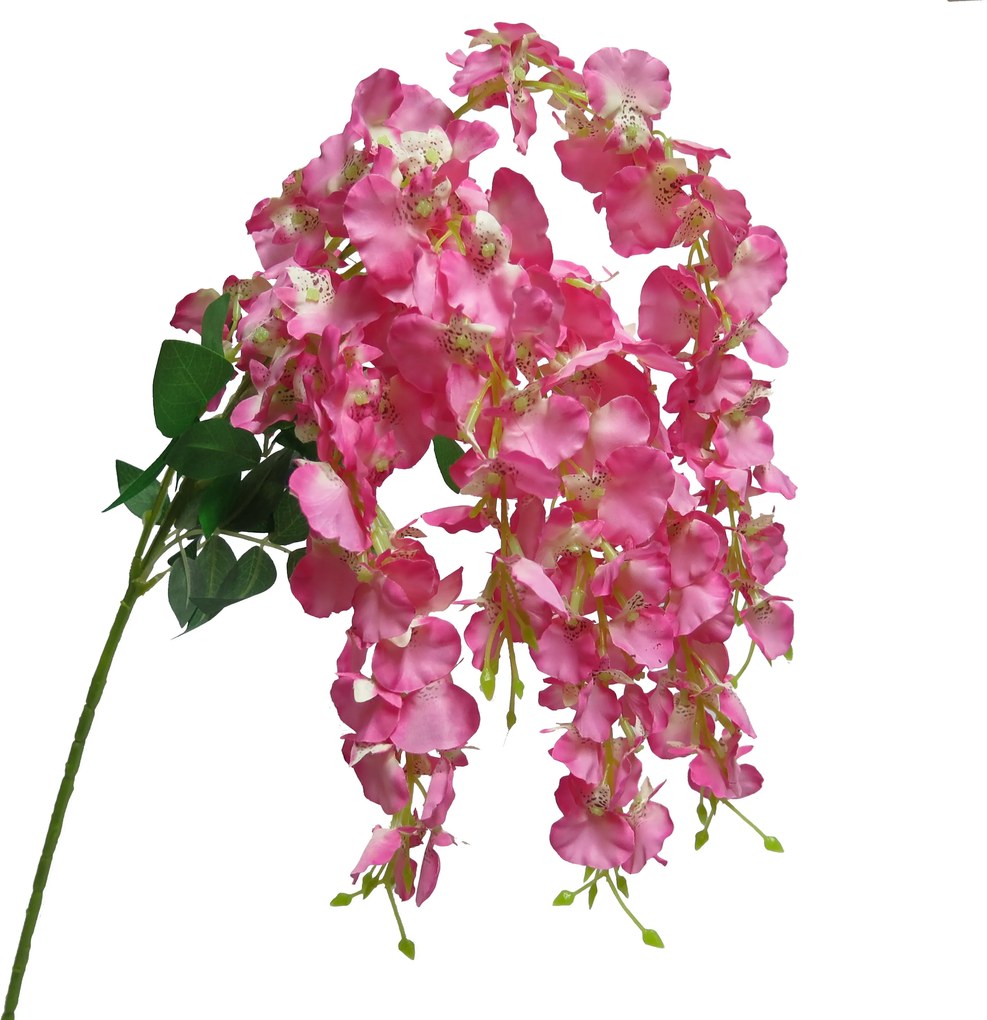 Orchidej drobnokvětá růžová  108cm