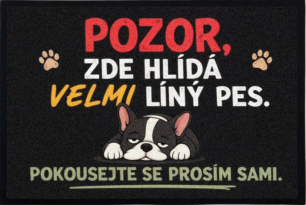 Mercury Flooring, Rohožka Líný pes 40x60 cm - na ven i na doma, 40x60, šedá