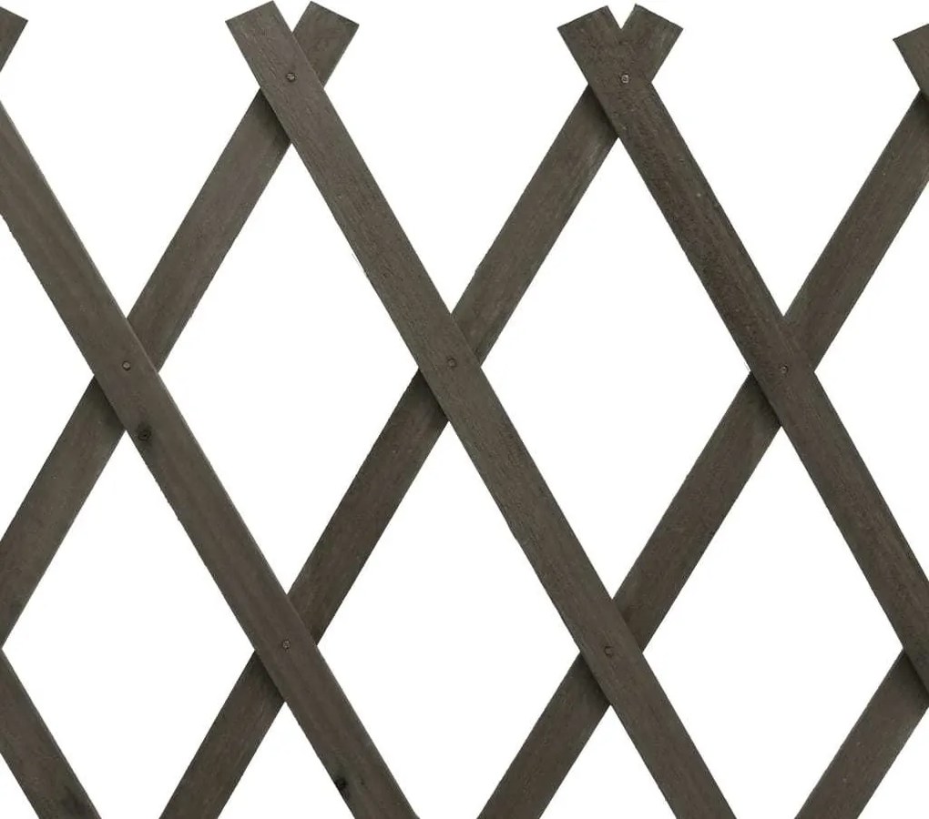 vidaXL Zahradní trelážový plot 120 x 60 cm masivní jedle [314823] Barva: Oranžová