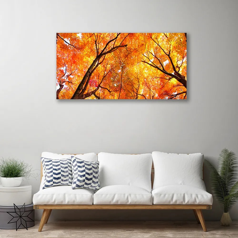 Obraz na plátně Stromy Příroda 125x50 cm
