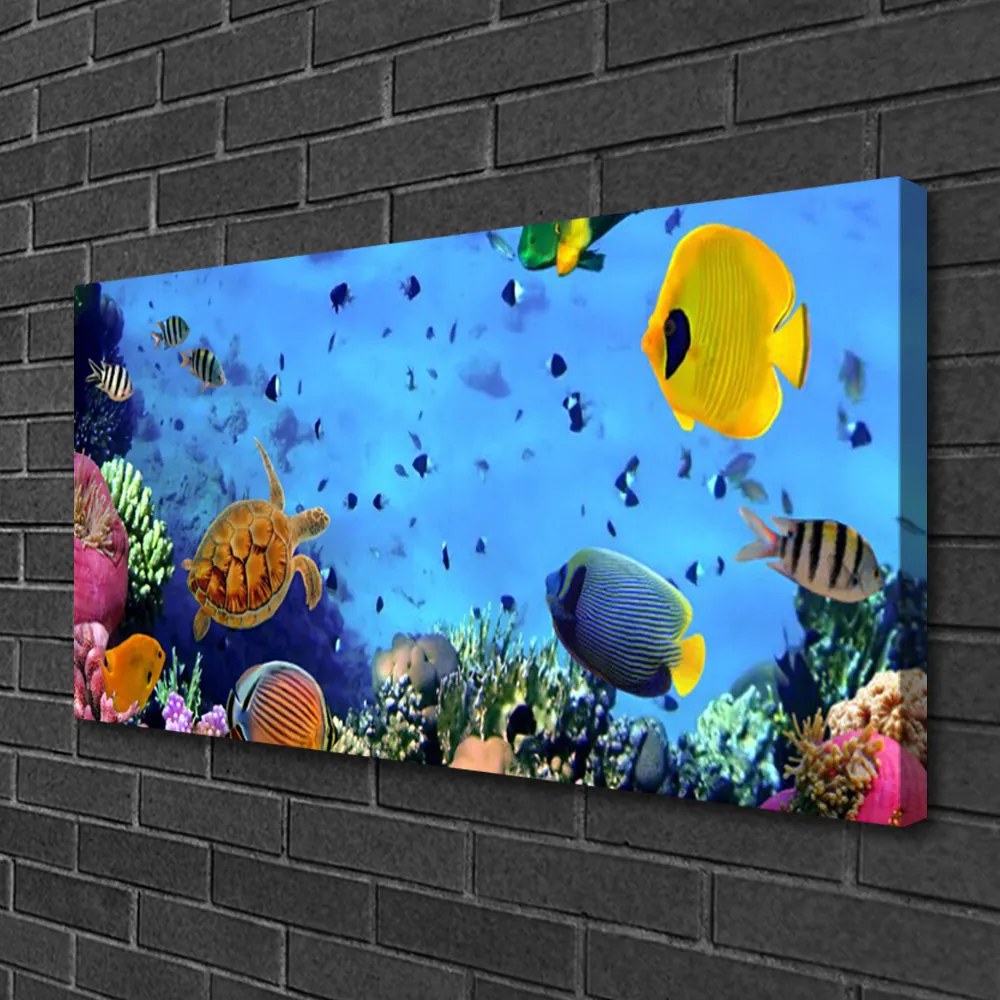 Obraz na plátně Korálový Útes Ryba Příroda 120x60 cm