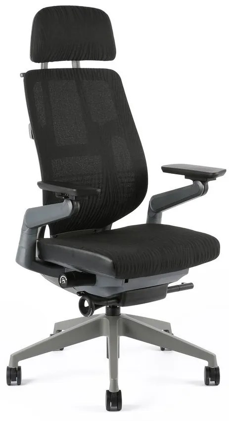 Office Pro Kancelářská židle Karme Mesh Barva potahu: A-10 černá