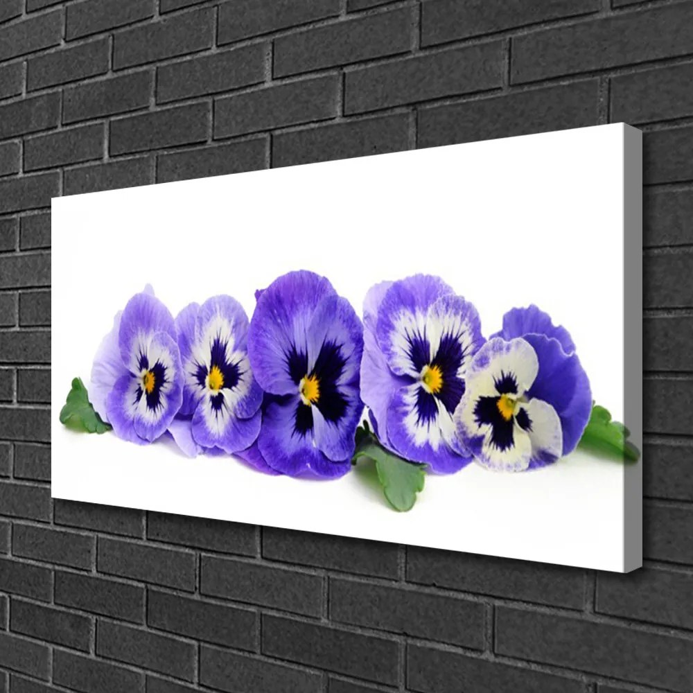 Obraz na plátně Plátky Květ Macešky 100x50 cm