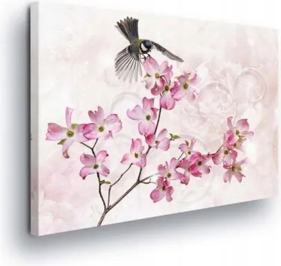 Obraz 80x60 Květiny pták jaro kvetení příroda jemnost lehkost