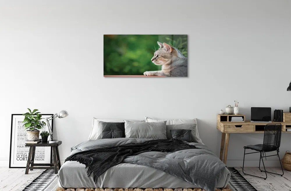 Obraz na skle vypadající kočka 125x50 cm