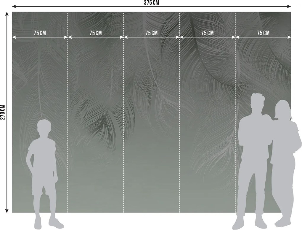 Fototapeta na míru Dekorativní Peříčka | Vliesová fototapeta na zed' | DFTNS1250