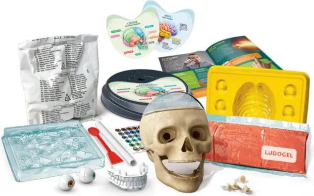 Vědecká zábava LAB Bláznivá anatomie 50697