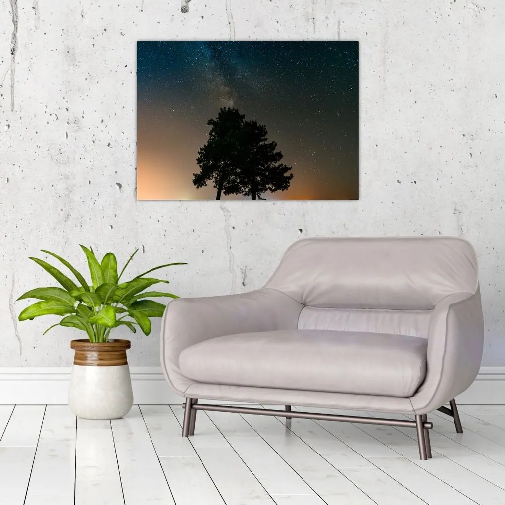 Skleněný obraz noční oblohy se stromy (70x50 cm)
