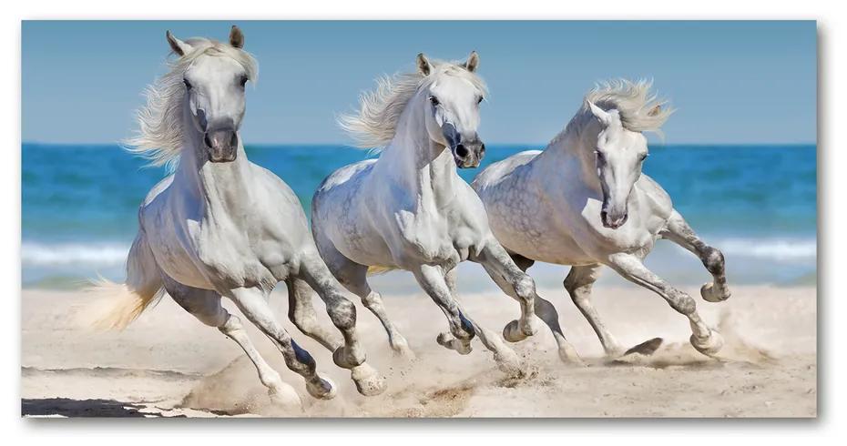 Wallmuralia Foto obraz akrylový Bílí koně pláž 120x60 cm