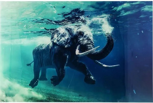 Obraz na skle Swimming Elephant 180x120 cm