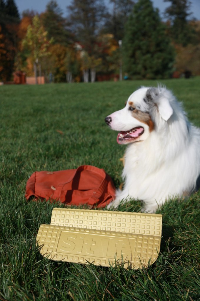 VYLEN Skládací podsedák SIT-IT Barva: 11 Tmavě žlutá