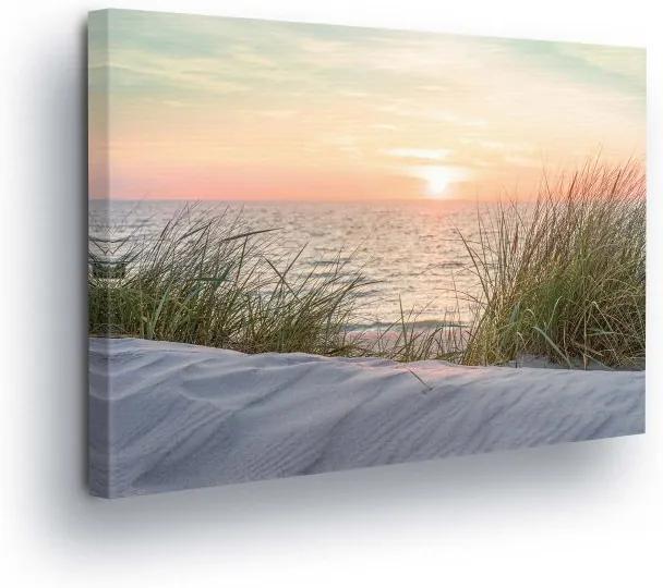 GLIX Obraz na plátně - Plážové Traviny 25x35 cm