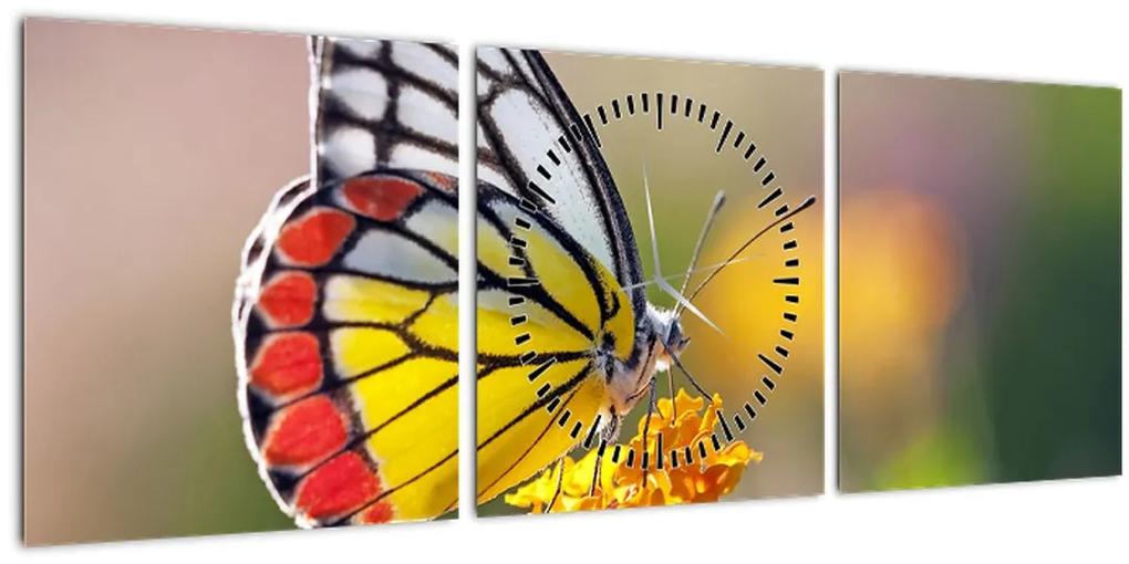 Obraz motýla na květu (s hodinami) (90x30 cm)