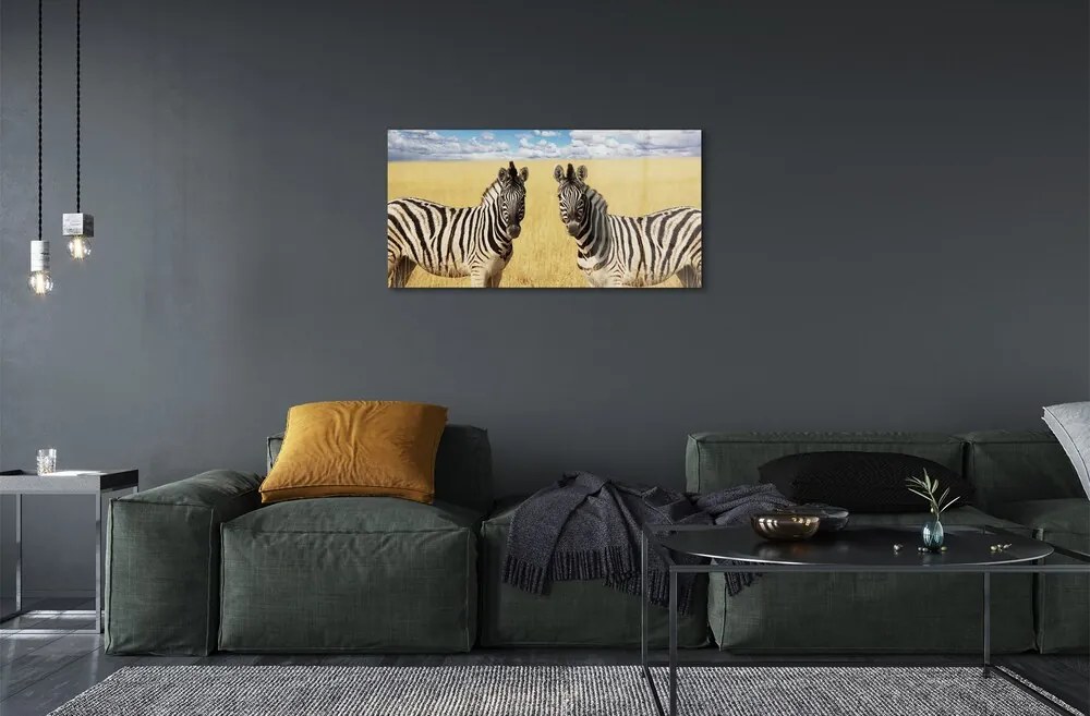 Obraz na skle zebra box 100x50 cm