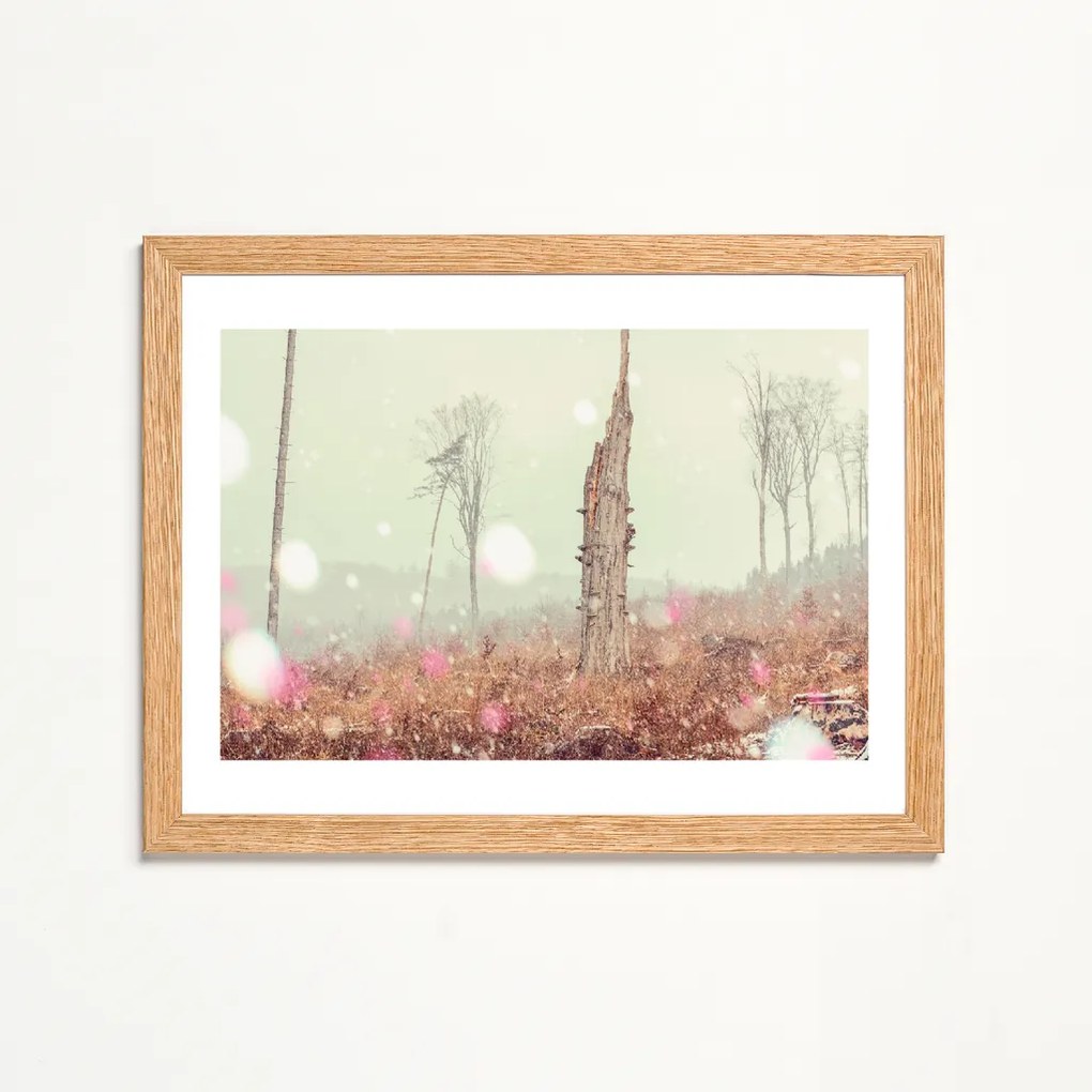 Eva Bystrianská | Jarní sníh Rám: Černý, Velikost: 40 x 60 cm