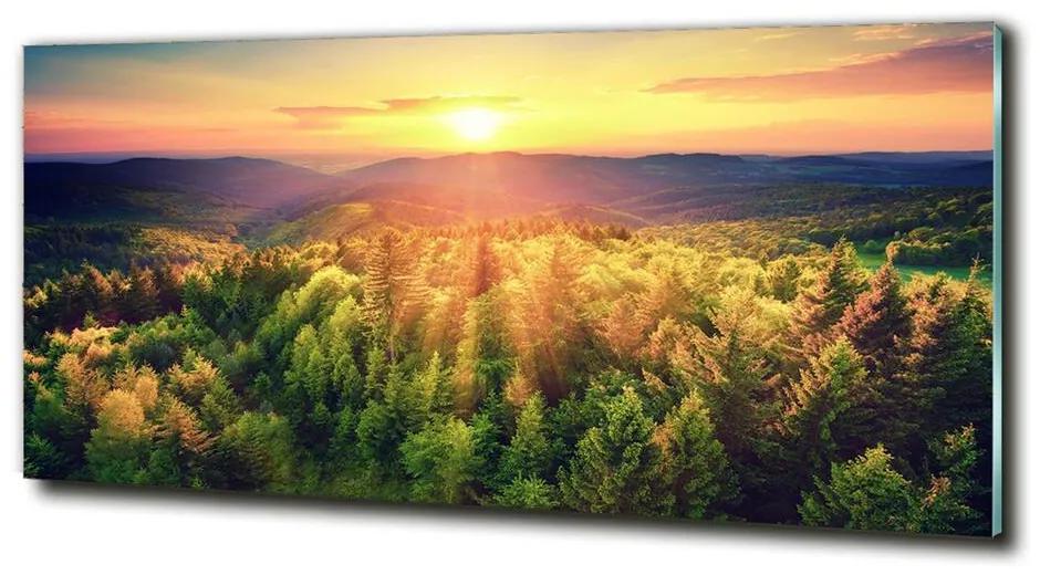 Wallmuralia Fotoobraz na skle Les západ slunce 125x50 cm