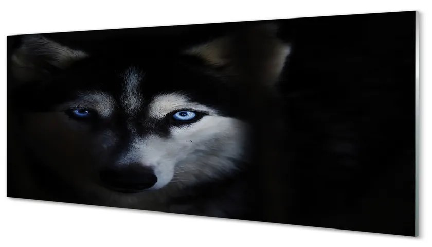 akrylový obraz wolf Eyes 120x60 cm