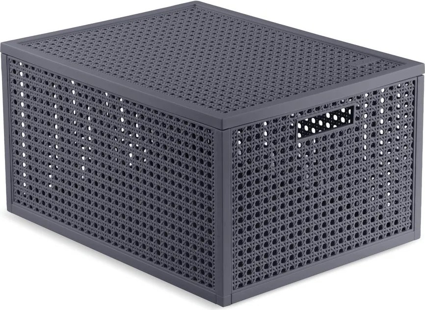 Tmavě šedý úložný box s víkem z recyklovaného plastu 30x38x21 cm Kaya – Curver