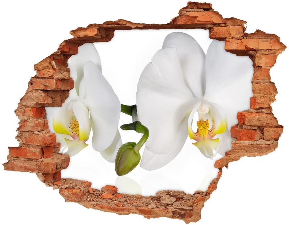 Wallmuralia Samolepící nálepka fototapeta Orchidej 90x70 cm