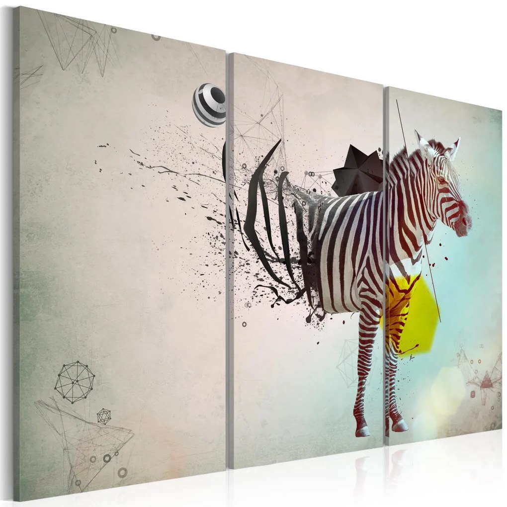 Obraz - zebra - abstrakce - 120x80