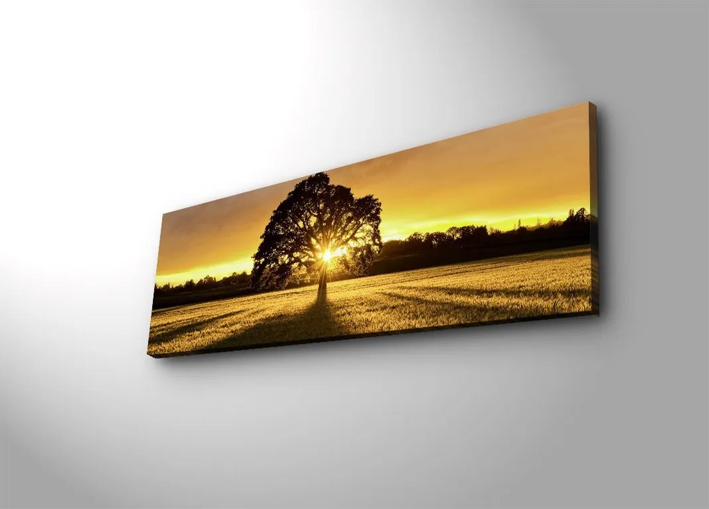 Obraz s led osvětlením Ledda Tree 90x30 cm