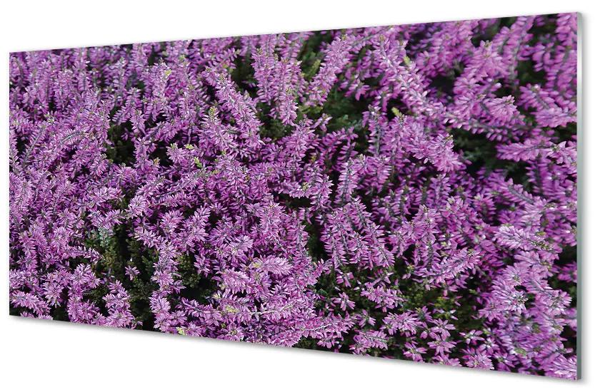 akrylový obraz fialové květy 140x70 cm