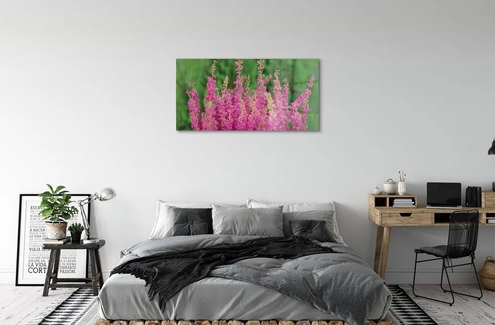 Obraz na skle květiny vřesy 125x50 cm