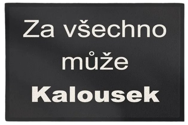 GDmats, Rohožka Kalousek 40x60 cm - na ven i na doma, 40x60, černá