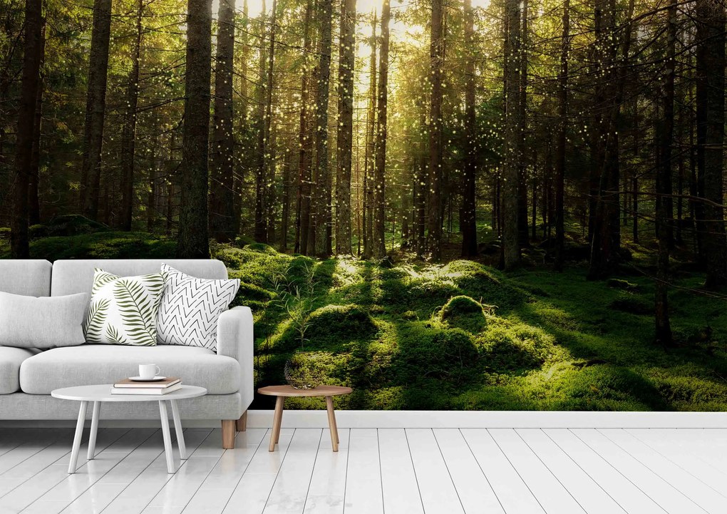 Malvis ® Tapeta Kouzelný les Vel. (šířka x výška): 432 x 290 cm