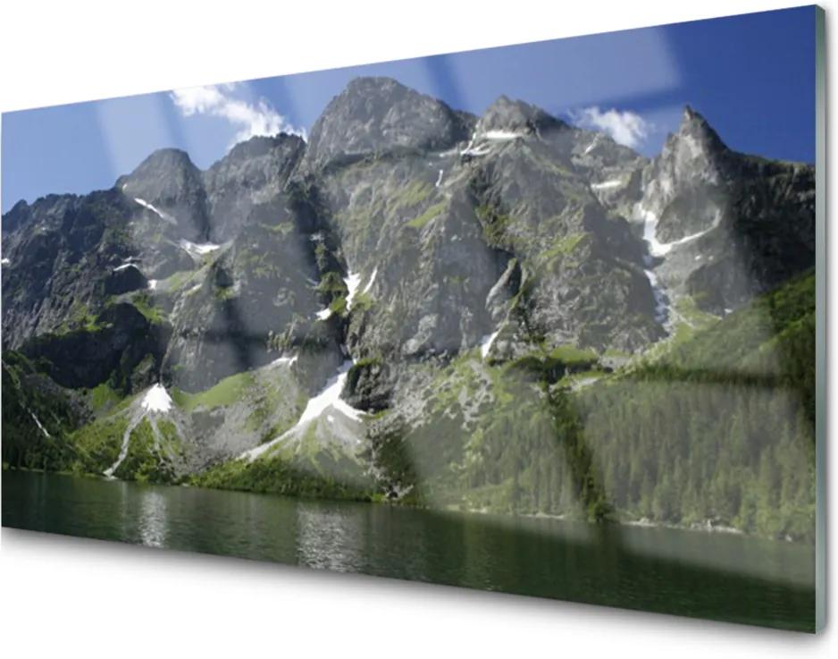 Skleněný obraz Hory Jezero Les Krajina