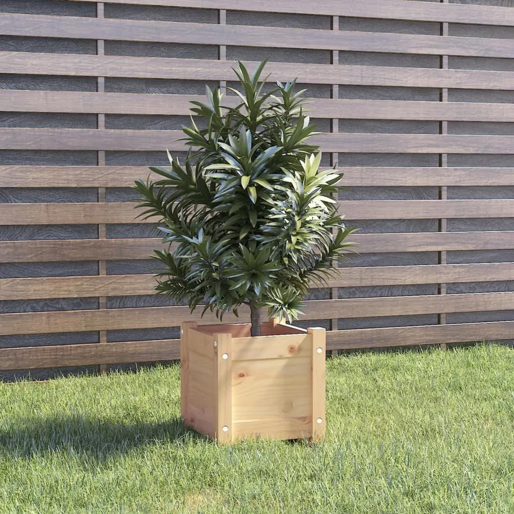 Zahradní truhlík 31 x 31 x 31 cm masivní borovice - Default Title