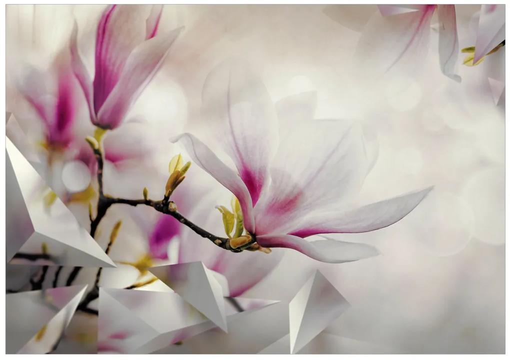 Fototapeta - Subtle Magnolias - Third Variant