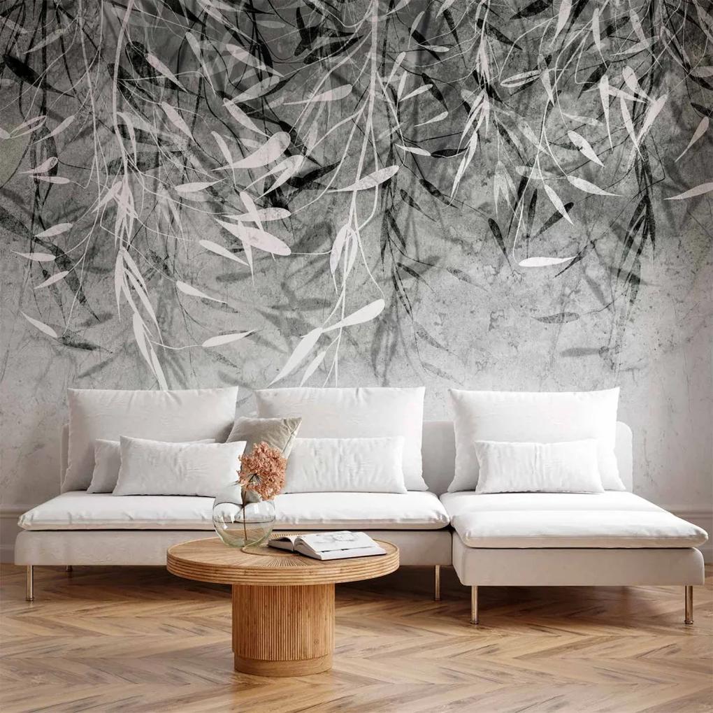 Fototapeta Vodopád rostlin - listy vrhající stín na kamenném pozadí - šedá barva