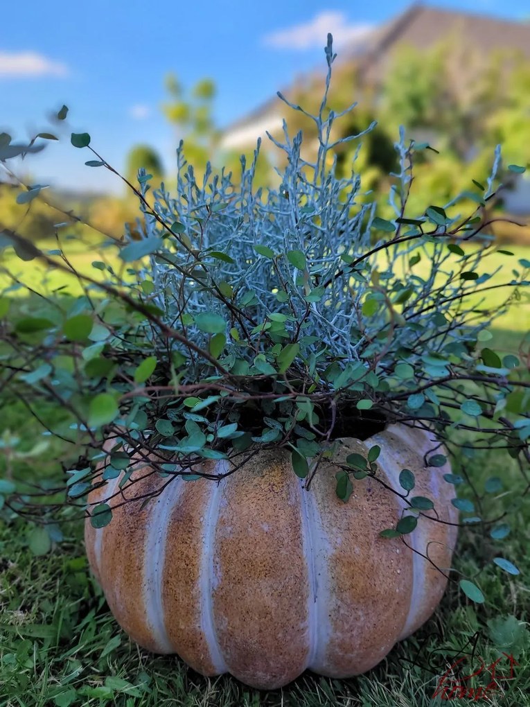 Obal na květináč ve tvaru dýně Pumpkin - Ø15*9 cm