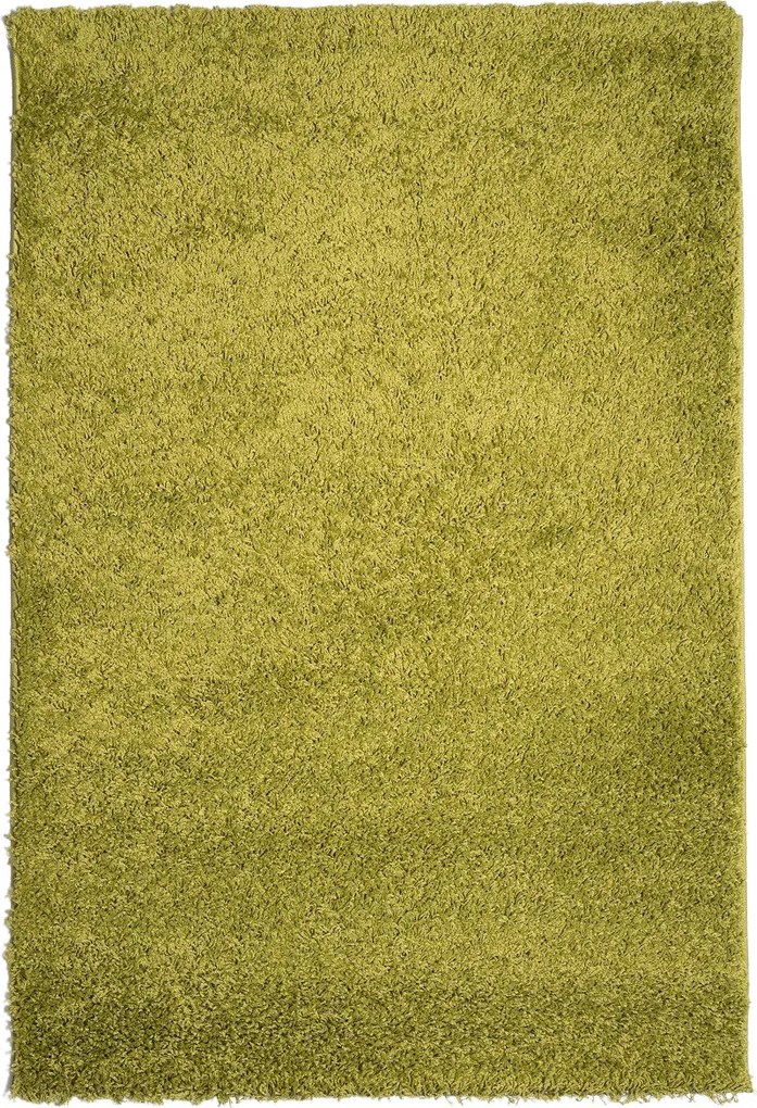 Kusový koberec Efor Shaggy 1903 Green, 60x115, zelená, obývacia izba, Mono Carpet