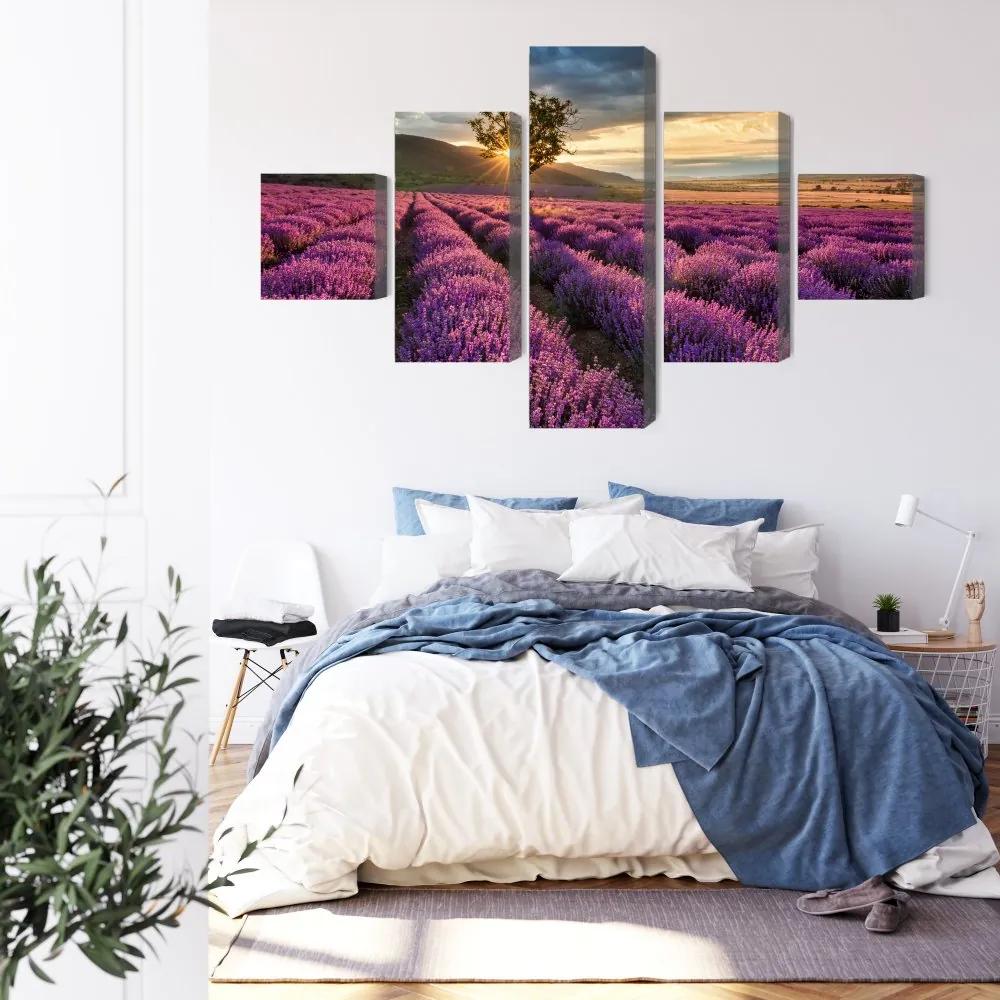 Vícedílný obraz Levandulové Pole Při Západu Slunce 3D Nedostatek Nedostatek Plátno Canvas 150x90