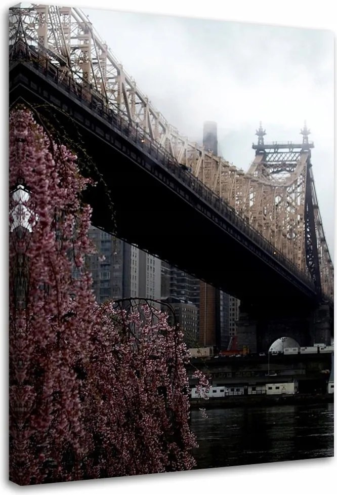 Obraz na plátně, Ed Koch Queensboro Bridge 40x60